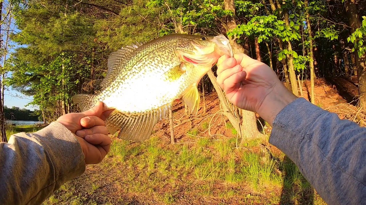 2 pound Crappie shoreline fishing - YouTube