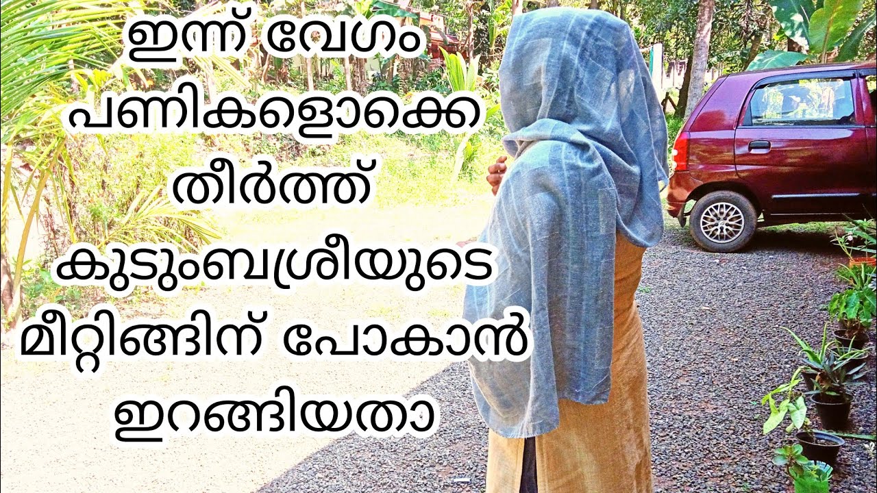 A day in my life/Daily vlog/Malayali veettamma/Rava idali recipe/haifa kitchen - YouTube