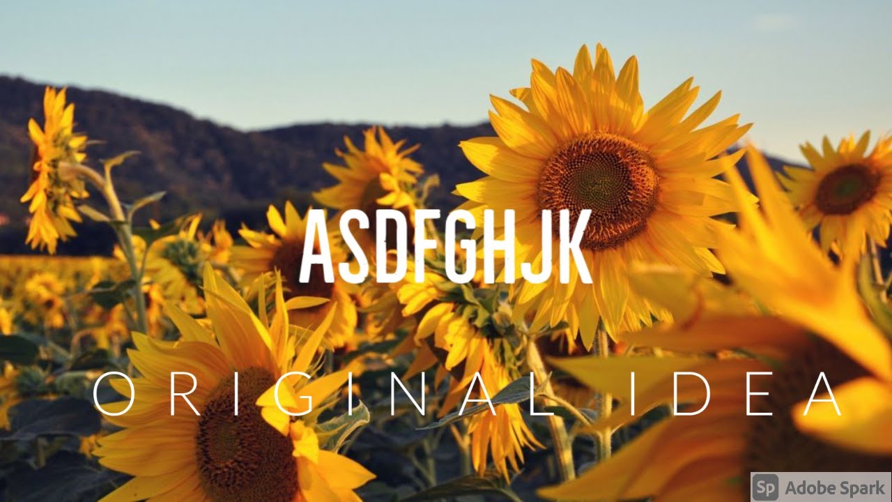 ASDFGHJKL | Original Meme - YouTube