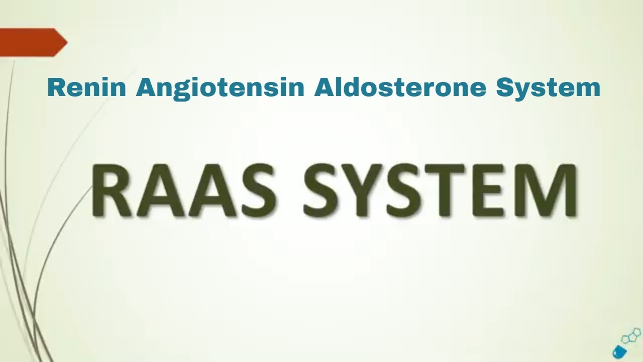 RAAS System | Renin Angiotensin Aldosterone System | - YouTube