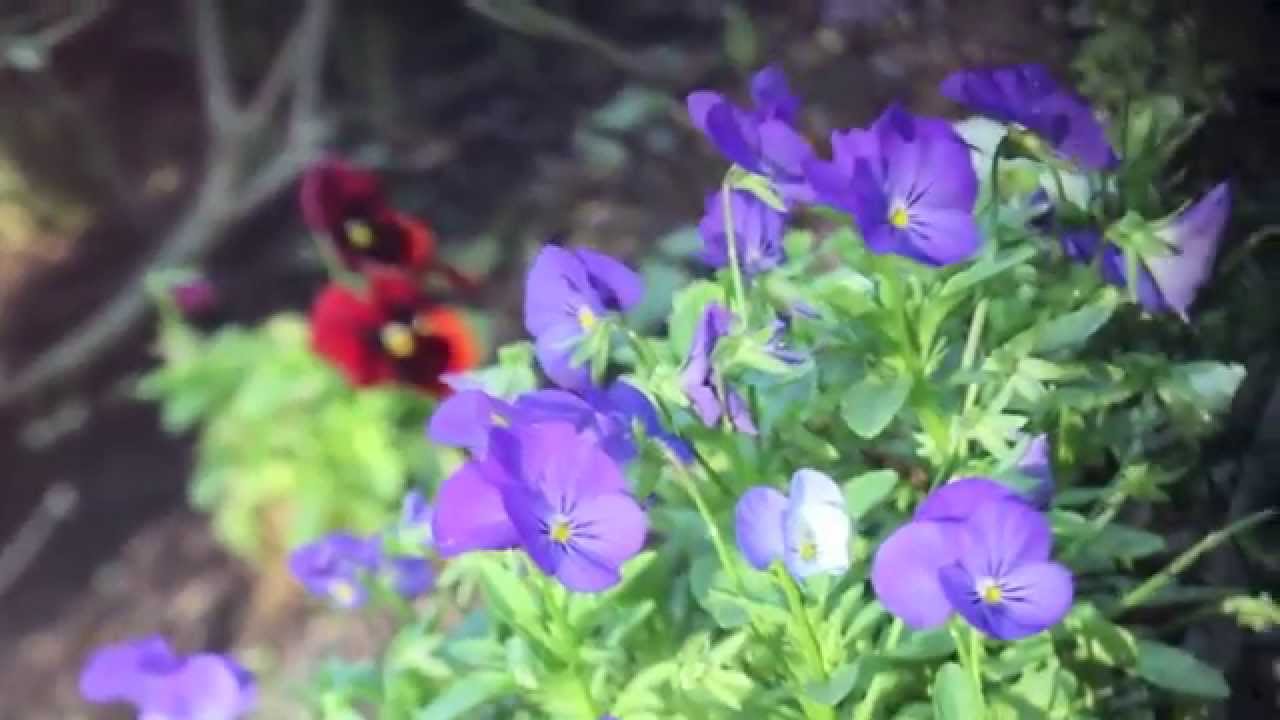 Lens Whacking Technique (Test Video) - YouTube