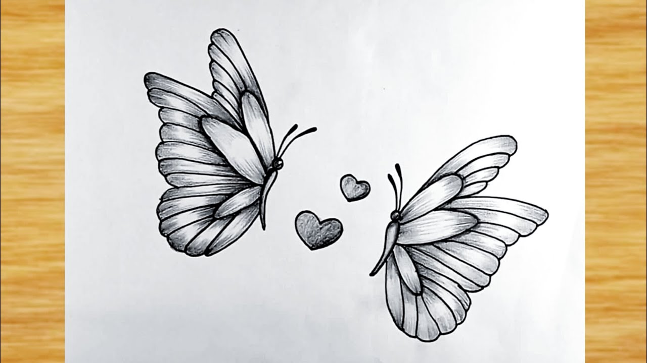 How to Draw to butterflys 💕,|| Butterfly Drawing||Pencil Drawings ...