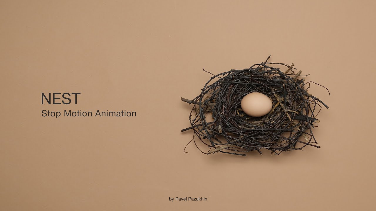 Nest | Stop Motion Animation - YouTube