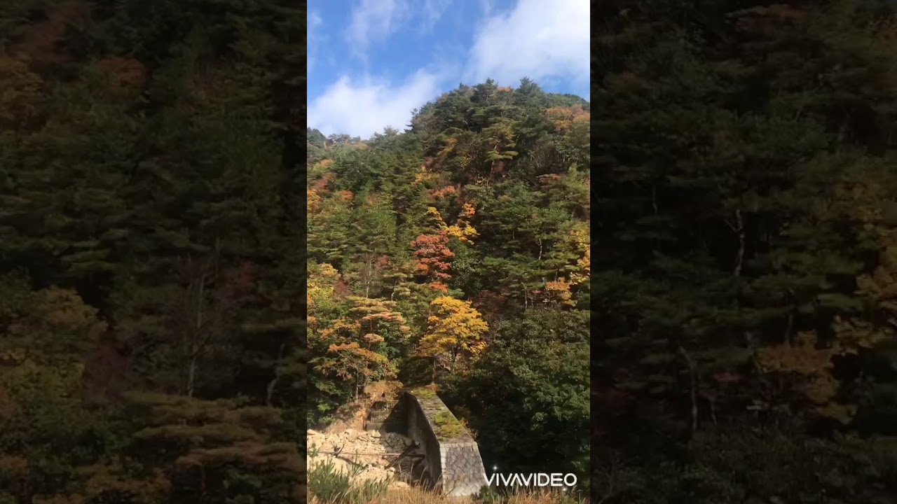 Mt.Gozaisho (winter hiking) - YouTube