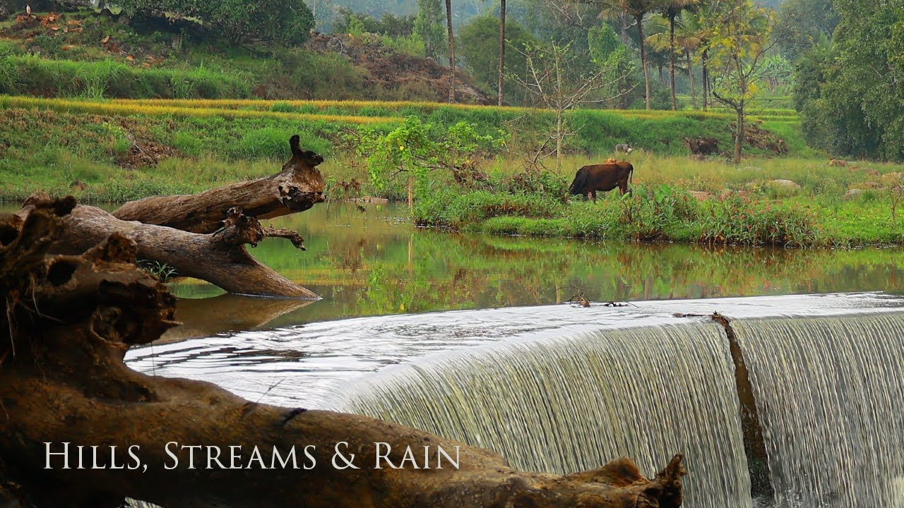 Kalvarayan Hills - Monsoon Destination - YouTube
