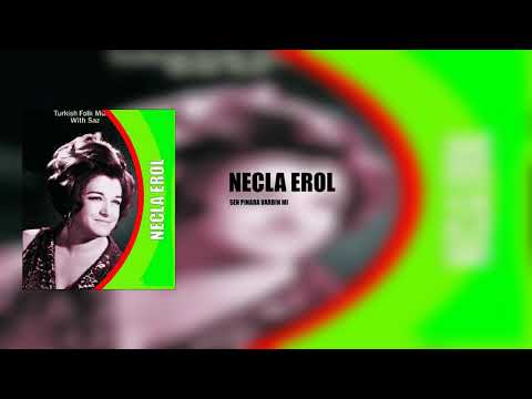 Necla Erol / Sen Pınara Vardın mı