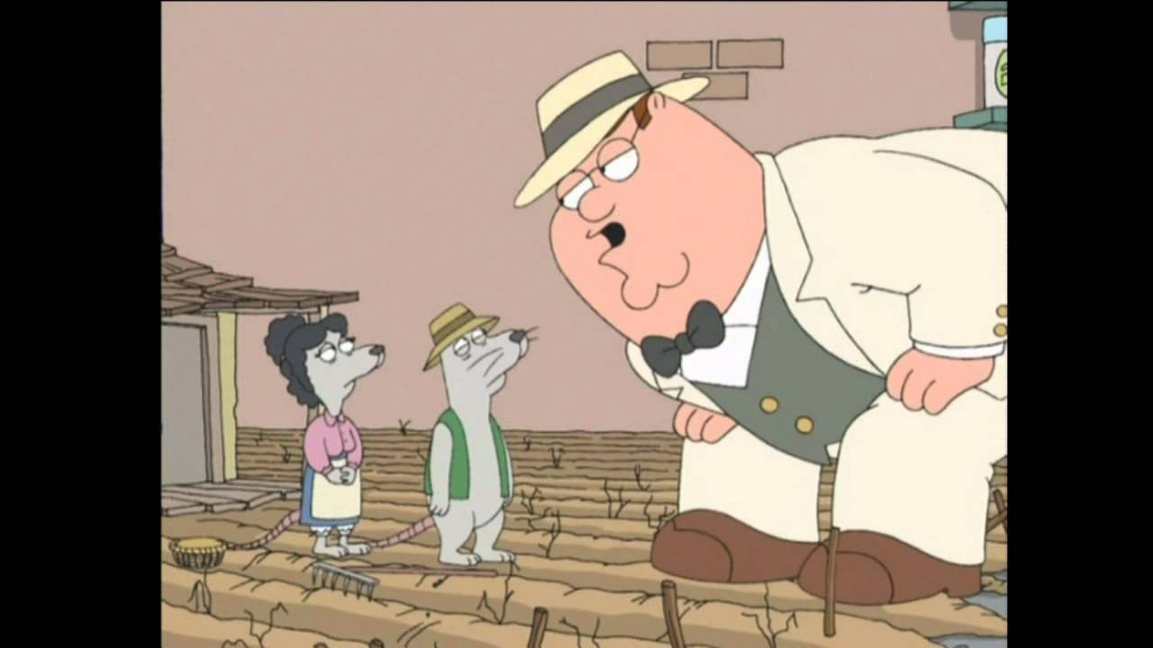 Rat farm in the basement. - YouTube