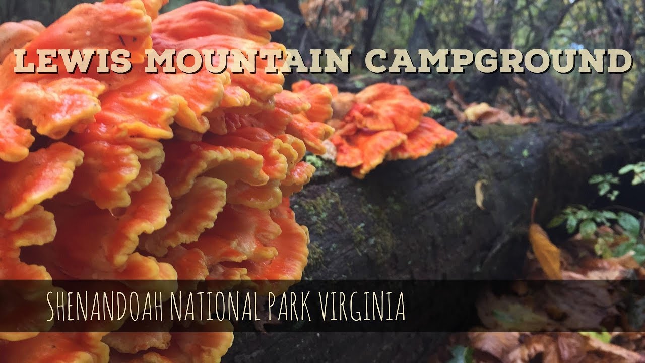Lewis Mountain Campground and Peak - Shenandoah National Park ...