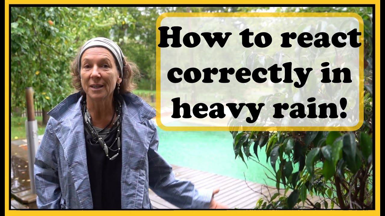 What to do in heavy rainfall? Swimming pond in the rain - YouTube