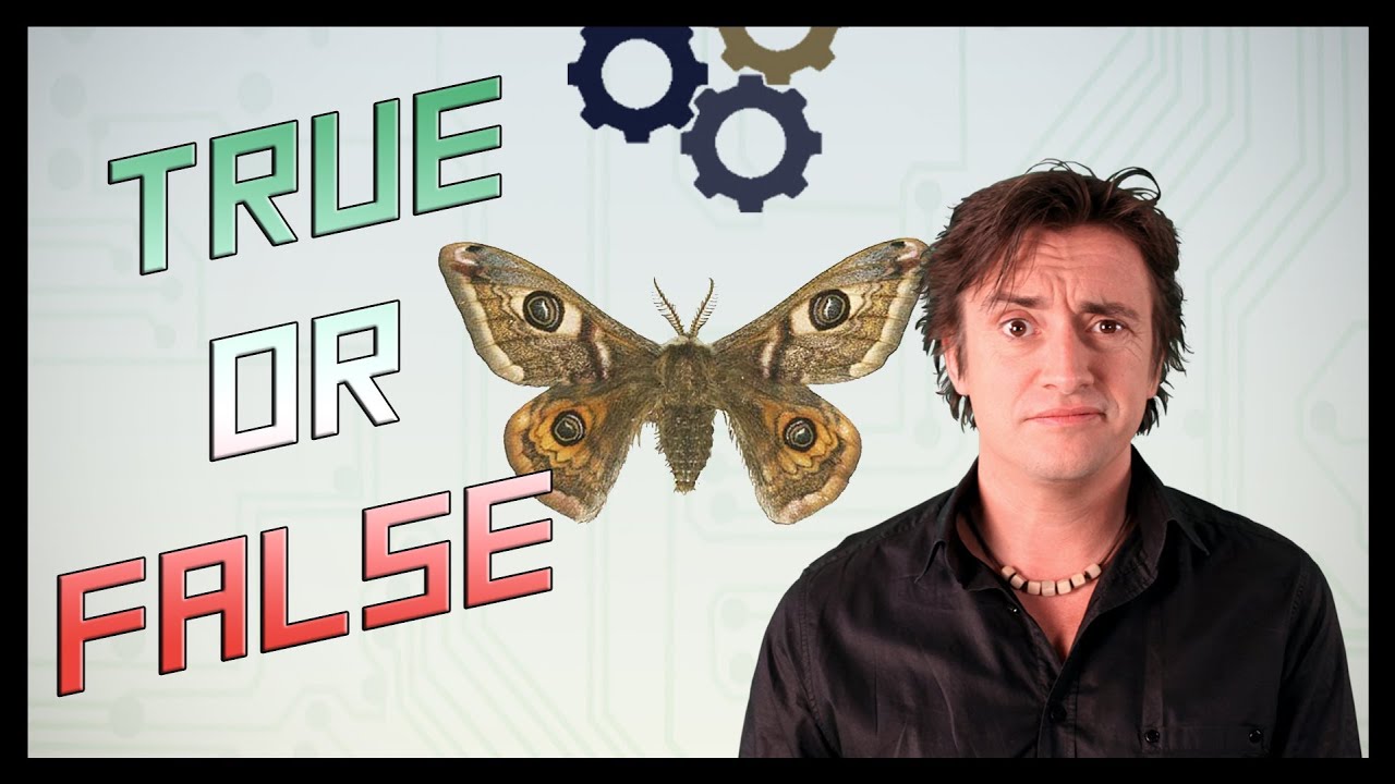 Moths | True or False | Richard Hammond's Tech Head - YouTube