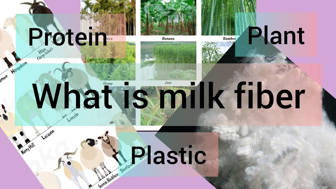 What is Milk Fibre? Protein, Plant, or Plastic? - YouTube