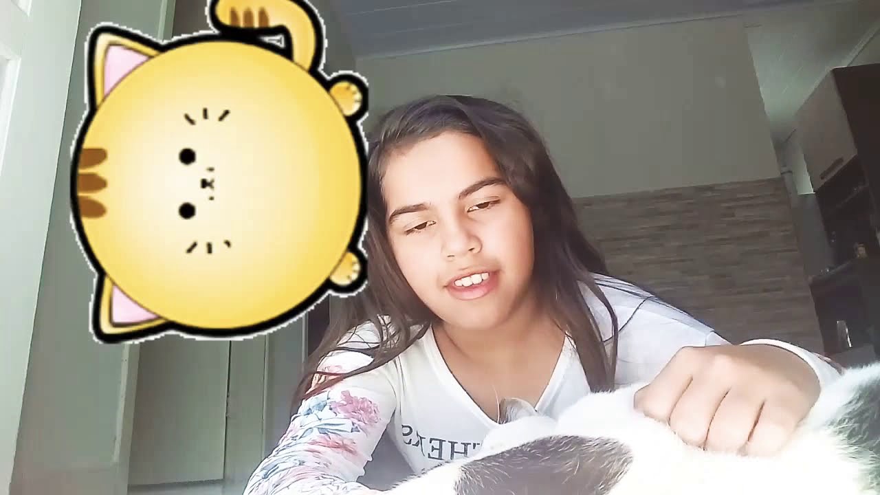 Minha Gatinha🐱🐈 Youtube