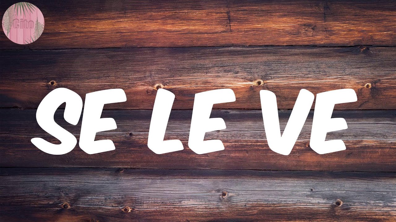 Se Le Ve (Letra/Lyrics) - Sech - YouTube