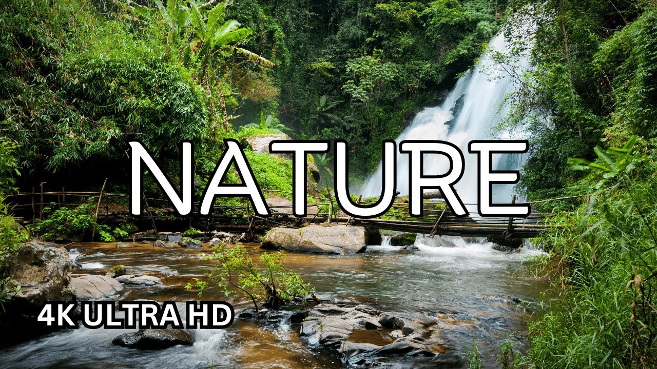 Nature Relaxation Film 4K - Peaceful Relaxing Music - Nature 4k Video ...