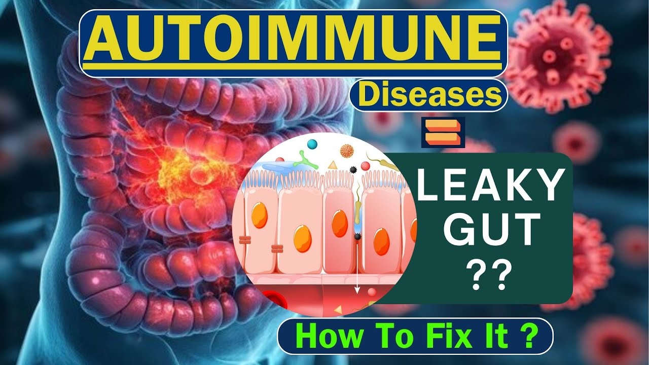 How Leaky Gut causes Autoimmune diseases? Know how to fix a leaky gut ...