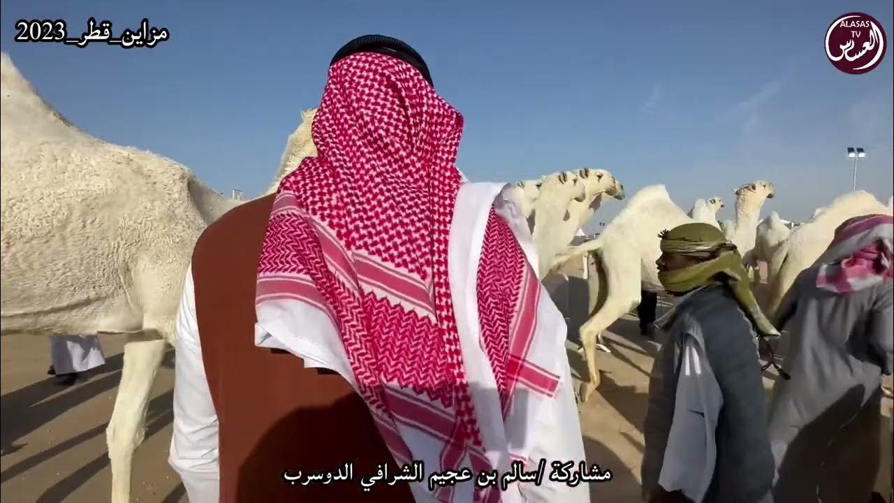 مزاين قطر منقية سالم بن عجيم الشرافي الدوسري Youtube