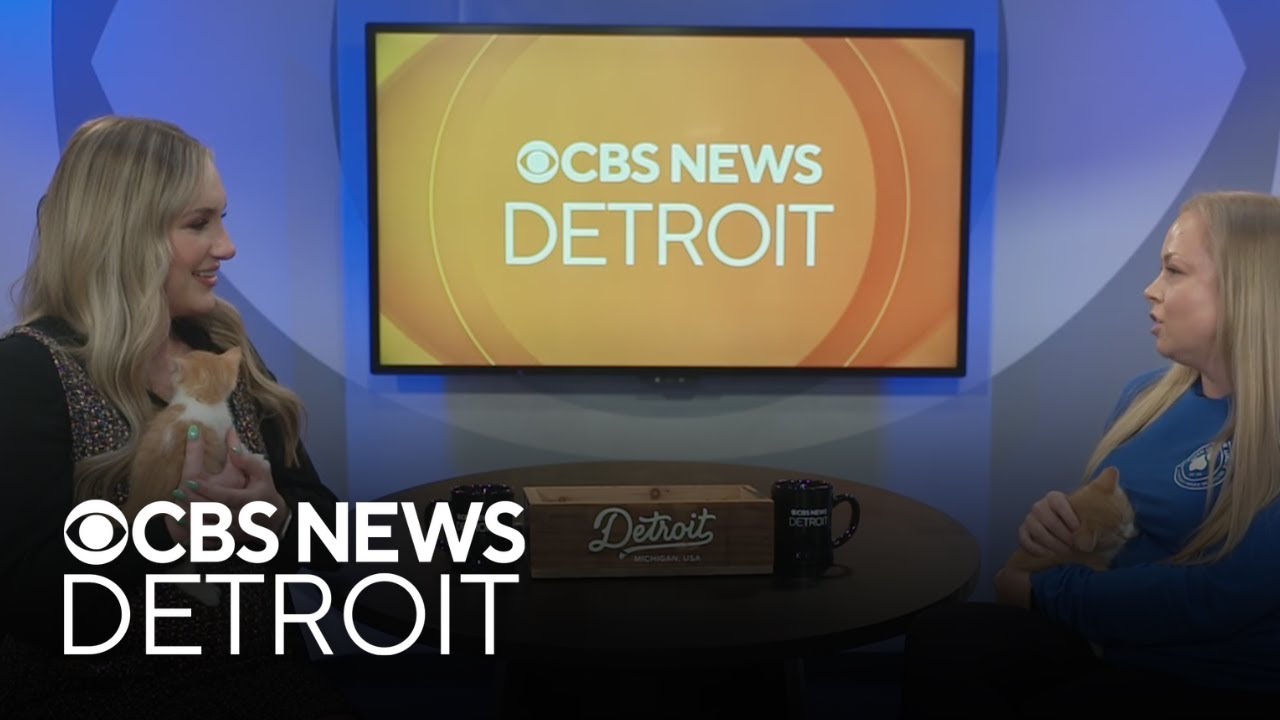 Michigan Animal Rescue League donations while seeing Garfield film ...