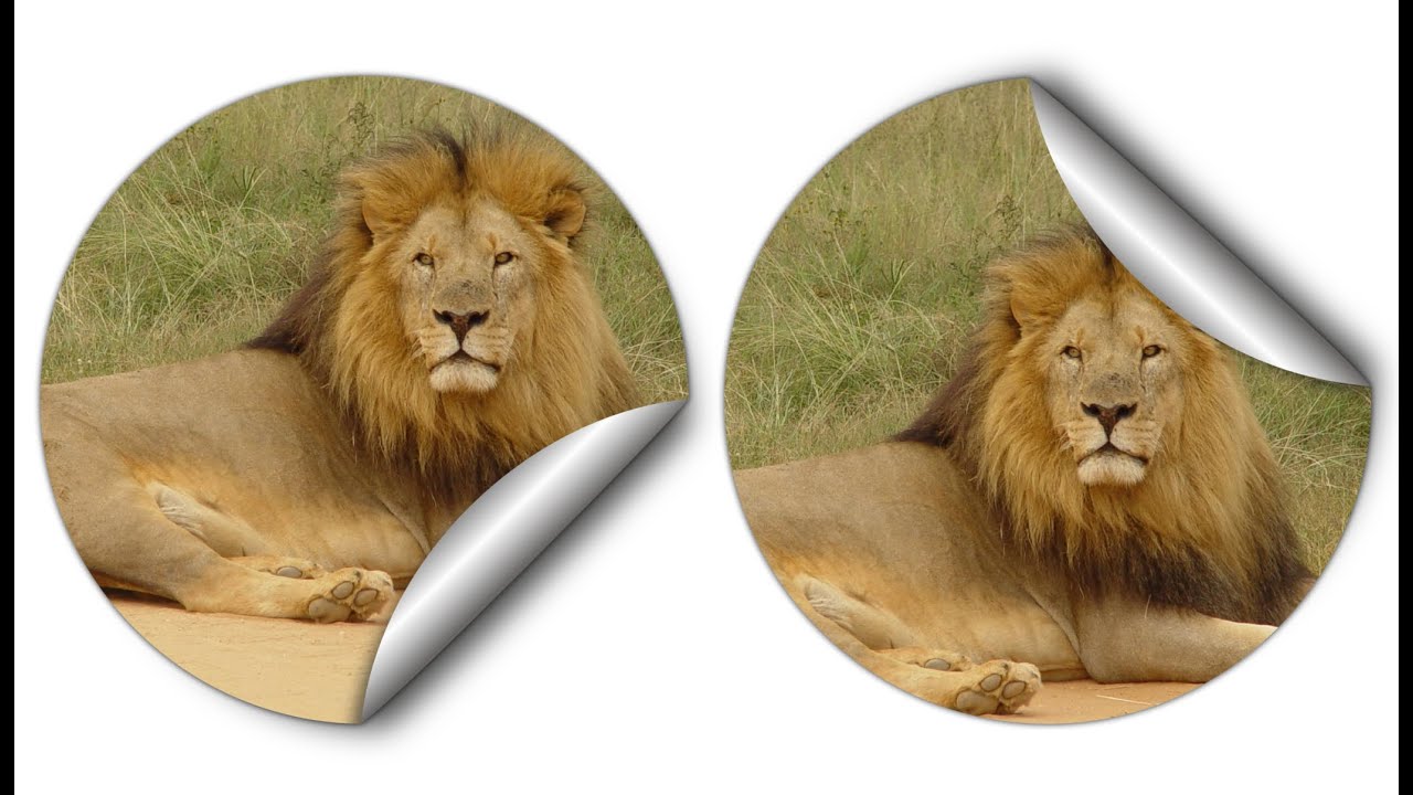 Peeled Sticker Effect 2/2 - Inkscape Tutorial - YouTube