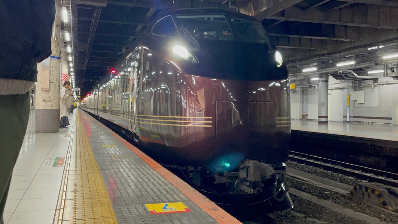 MH2発有り！【上野発会津若松行き団臨（びゅう主催）】 E655系なごみ（和）編成が団体幕でミュージックホーンを2発鳴らし上野駅14番線を発車するシーン（9021M・東423）2025.4.5 ...