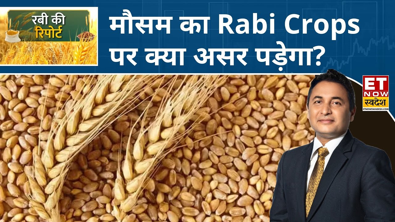 Rabi Crops की क्या है रिपोर्ट, जानिए रबी फसलों के लिए मौसम की क्या है ...