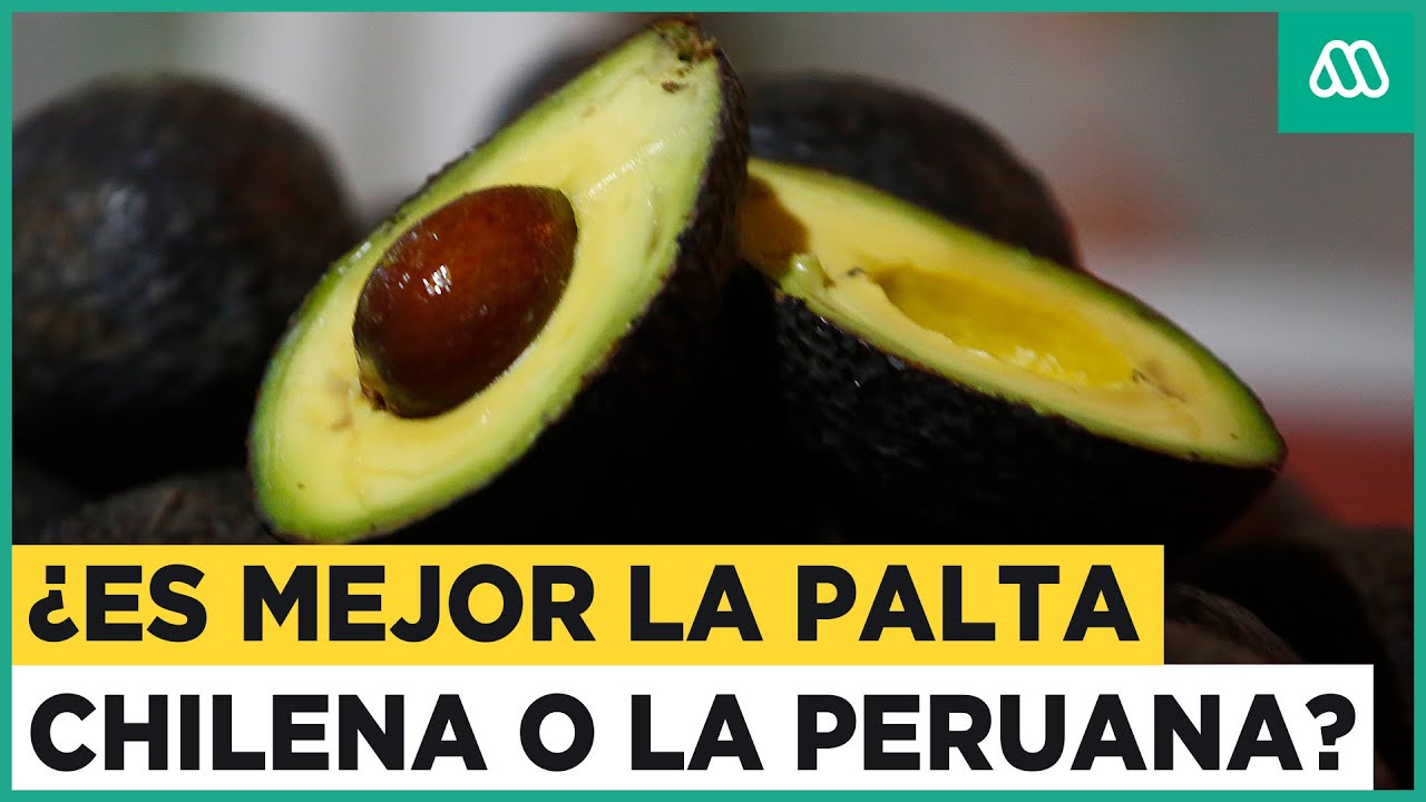 Palta chilena versus palta peruana: ¿Cuál es la mejor? - YouTube