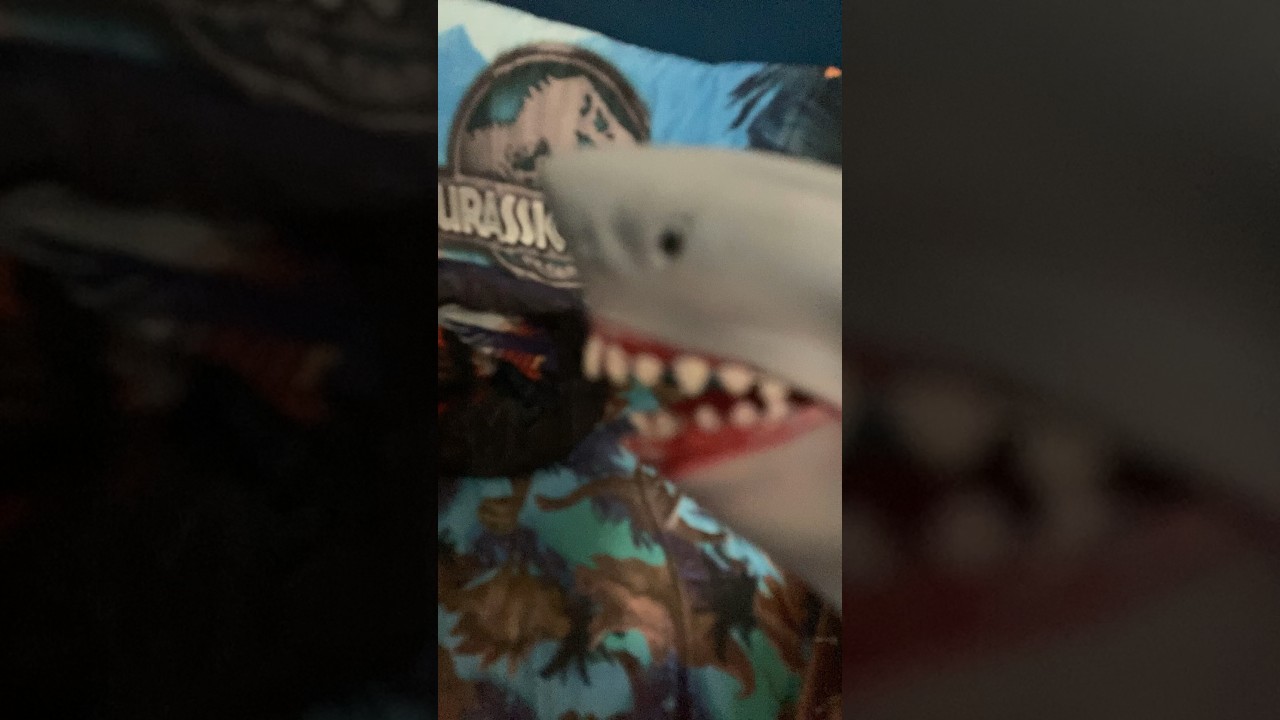 Poor shark puppet #sharkpuppet - YouTube