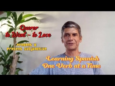 Learning Spanish One Verb at a Time. to Want-Love-Querer. Present and ...