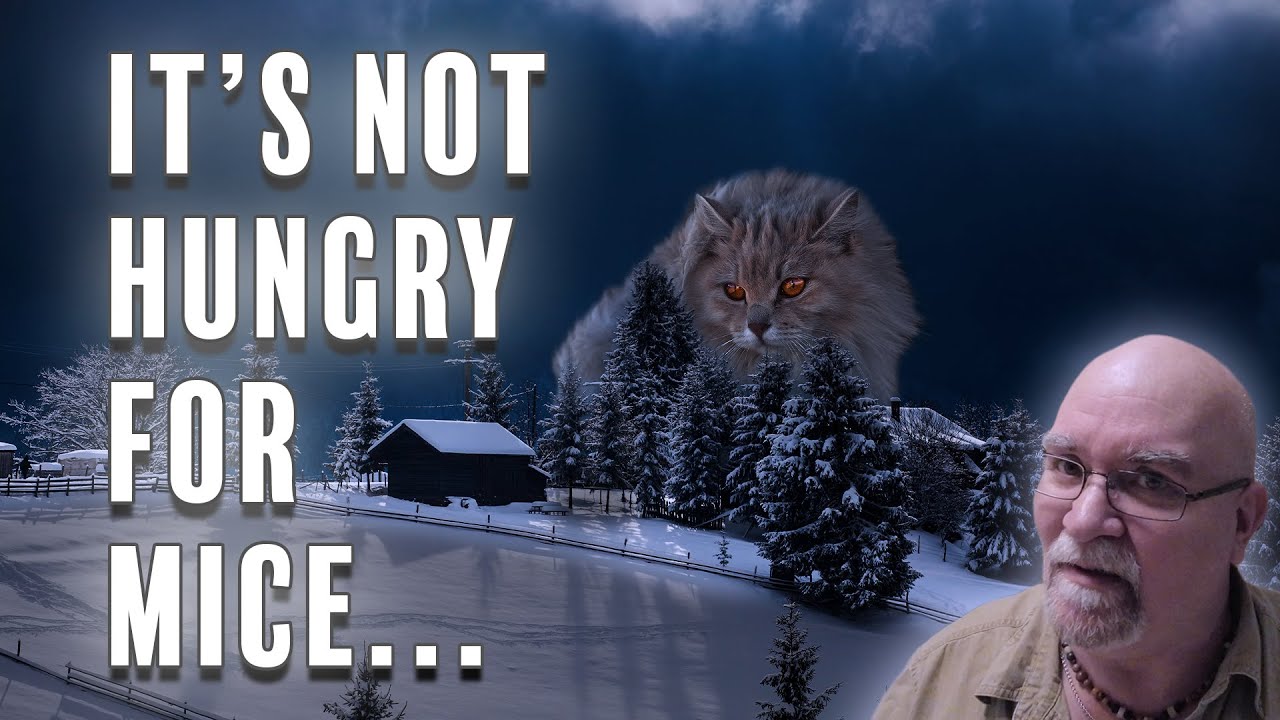 The Yule Cat - Jolakotturinn - Cryptids, Hauntings, and Folklore - YouTube