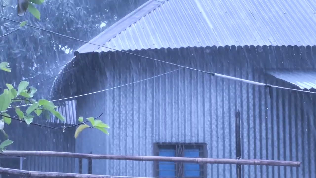 Light Rain Sounds for Sleeping | Light Rain in Fine Drops | Rain sounds ...