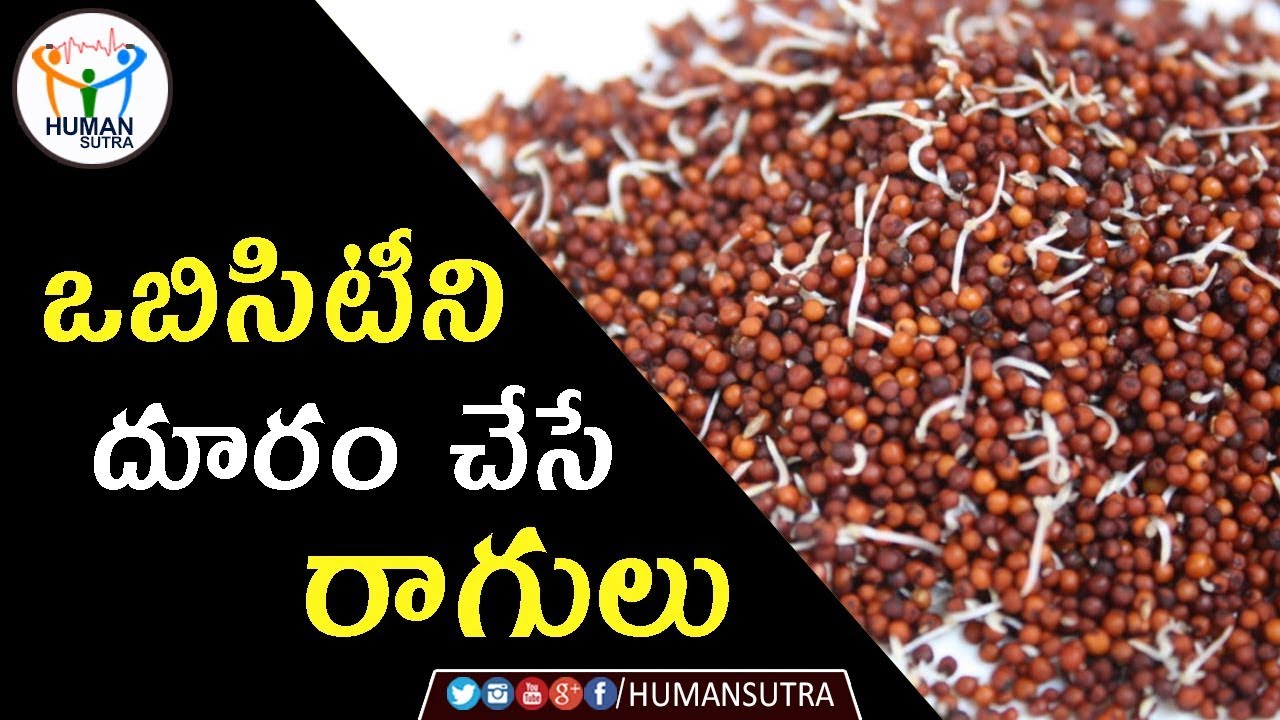 Uses of Raagulu || Health Benefits of Raagi || Raagulu || Health Tips ...