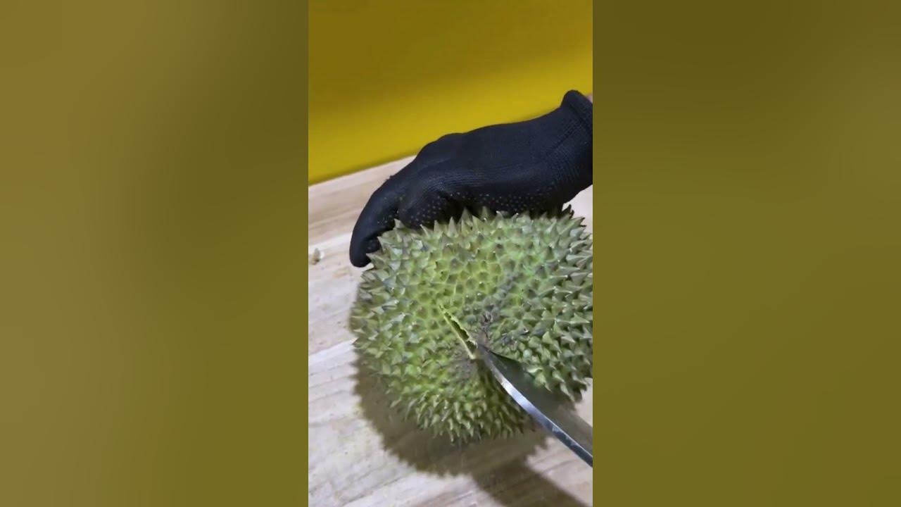 Super kuat pisau ini dapat membuka buah durian dengan mudah #shorts - YouTube