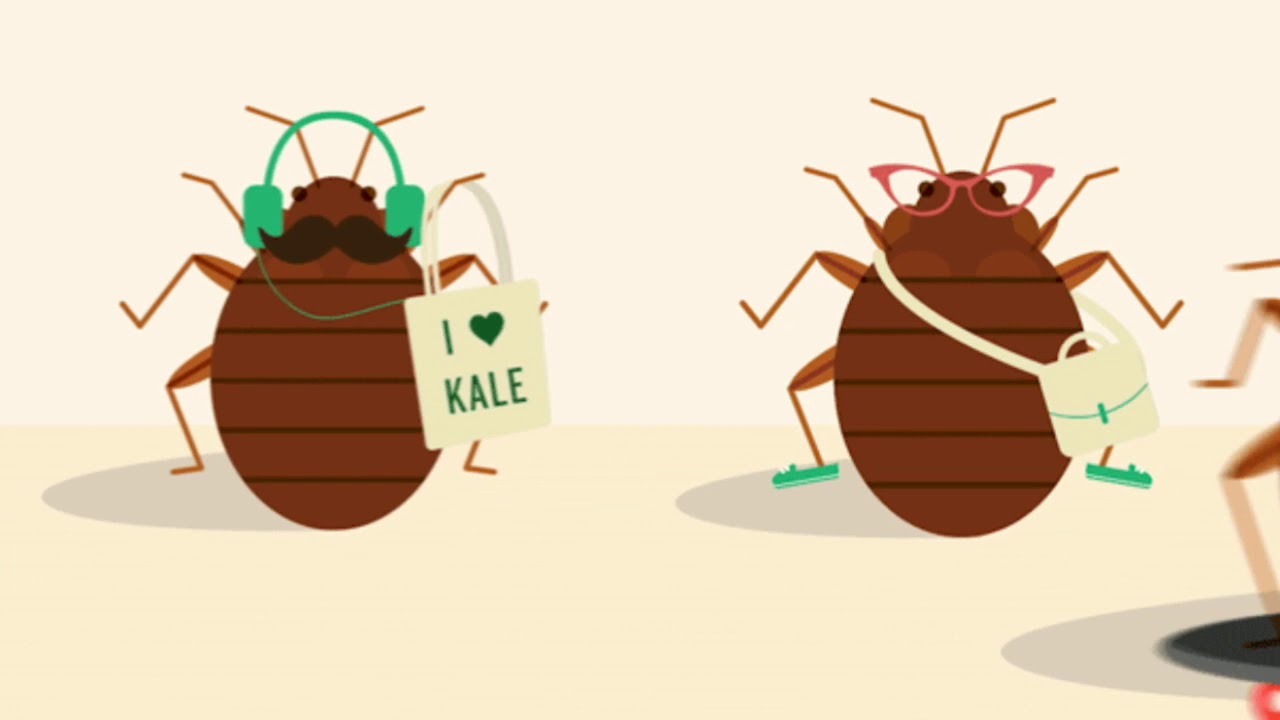 Mr Roach || Part 1 - YouTube