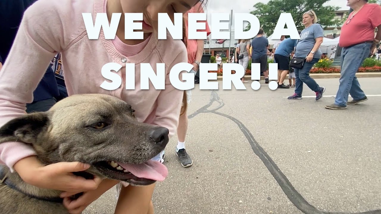 We Need A Singer!! #music #original #singer #recording #puppy #dog # ...