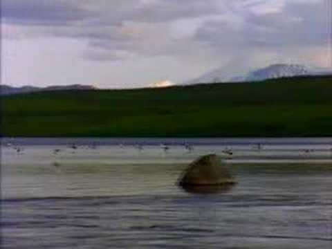 The true meaning of the vista sample videos - YouTube