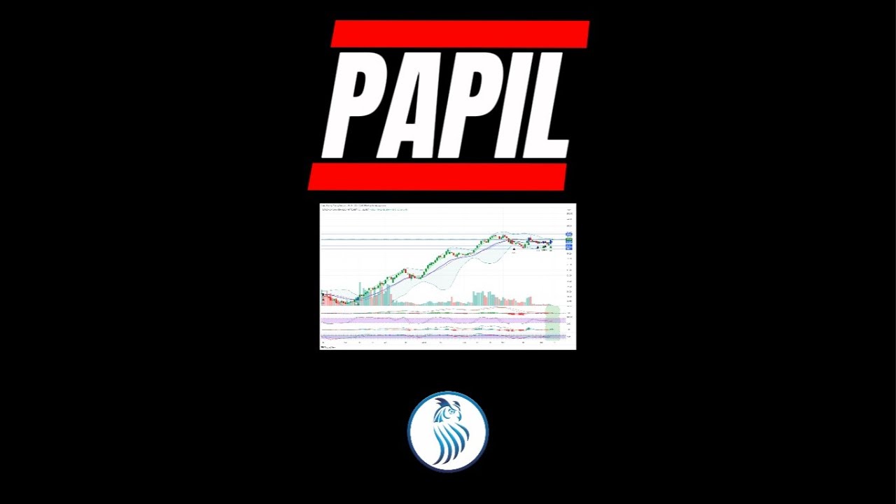 PAPIL Hisse Analiz Yorum - Papilon Savunma Teknoloji Ticaret A.Ş. - YouTube