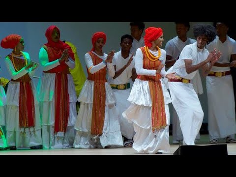 Wil wilo xidiyo dhaqan Somali cisse - YouTube