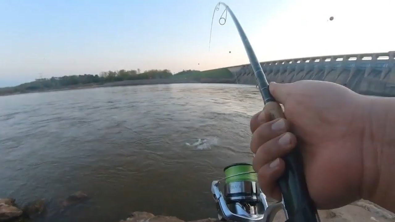 STRIPERS, DRUMS AND CATFISH | KEYSTONE DAM | OKLAHOMA - YouTube
