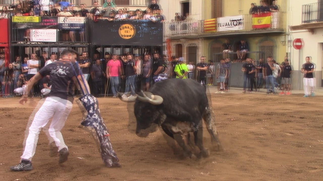 23-5-23 Almazora. Cerriles de Eladio Vegas y Dominguez Camacho - YouTube