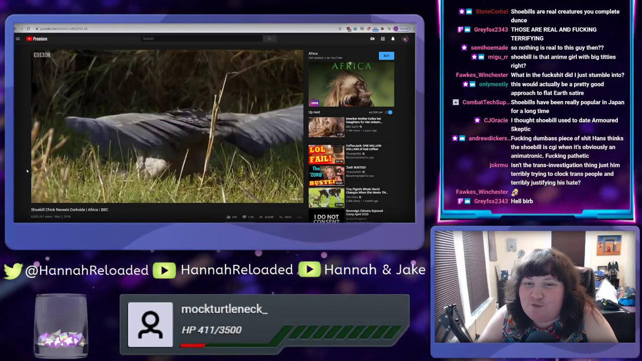 Hans WormHat Thinks Every Animal is Fake - YouTube