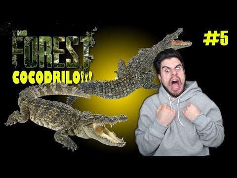 QUE ES ESO? UN COCODRILOOO!!!!! The Forest #5