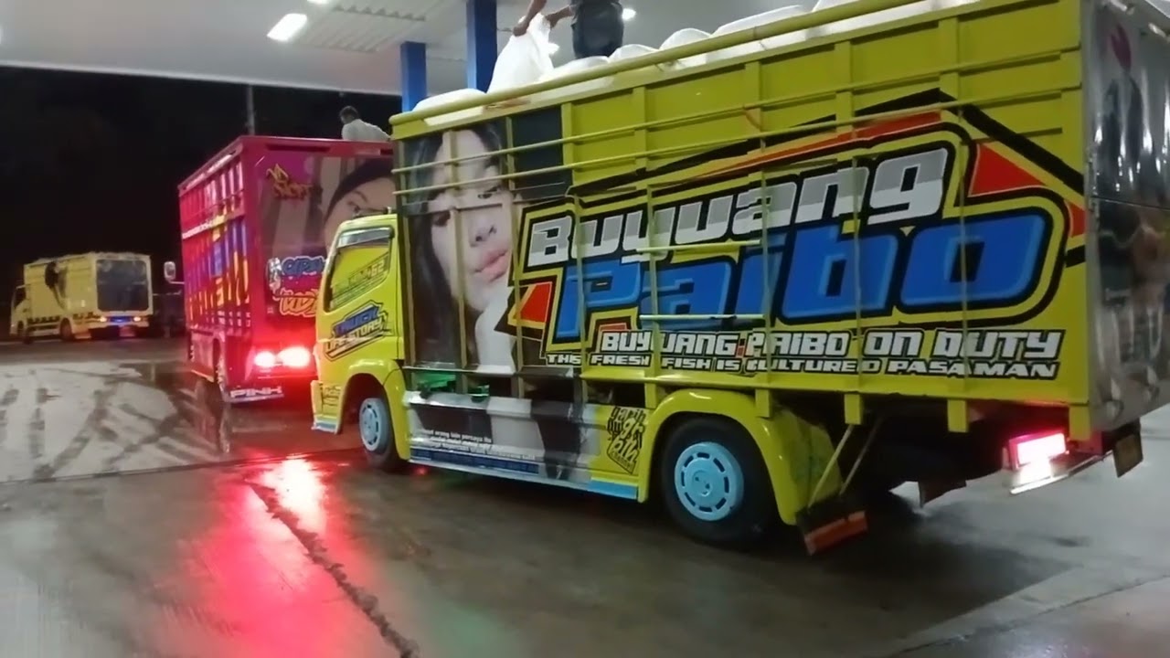 mobil ikan ganteng abis#trukoleng #ikan #truck - YouTube