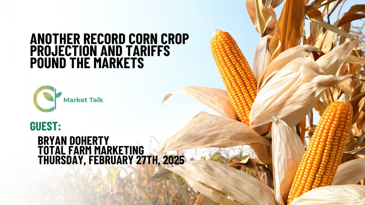Another Record Corn Crop Projection and Tariffs Pound the Markets - YouTube