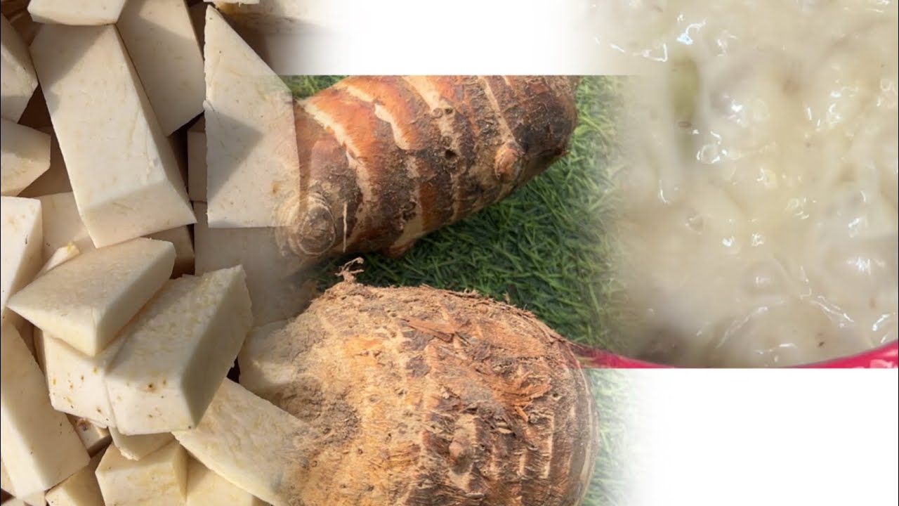 Kochu ki sabji our pork meat n akhuni || Arunachal Pradesh || North ...