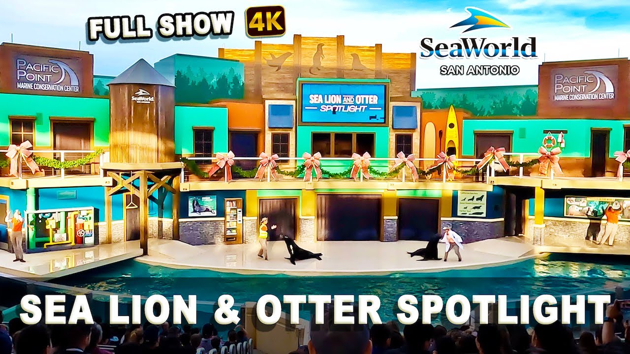 Sea Lion & Otter Spotlight | SeaWorld San Antonio | FULL SHOW 4K Ultra ...