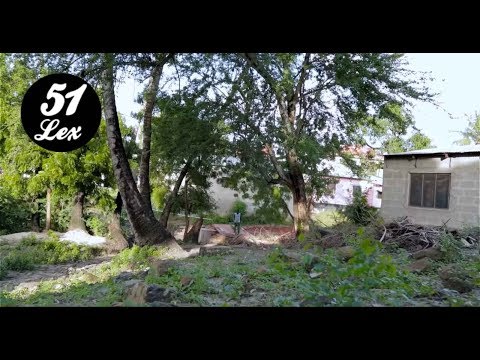 Kabwela (Official Bongo Movie)