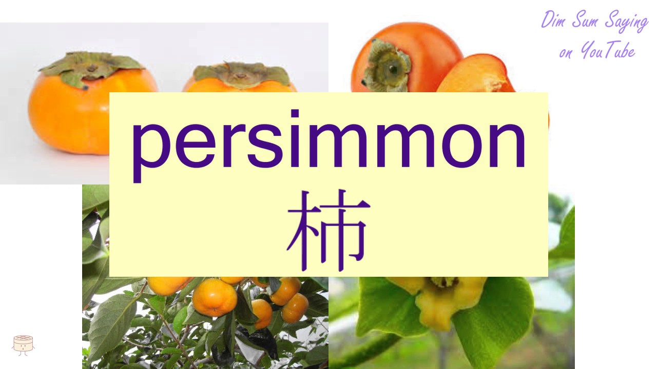 "PERSIMMON" in Cantonese (柿) - Flashcard - YouTube
