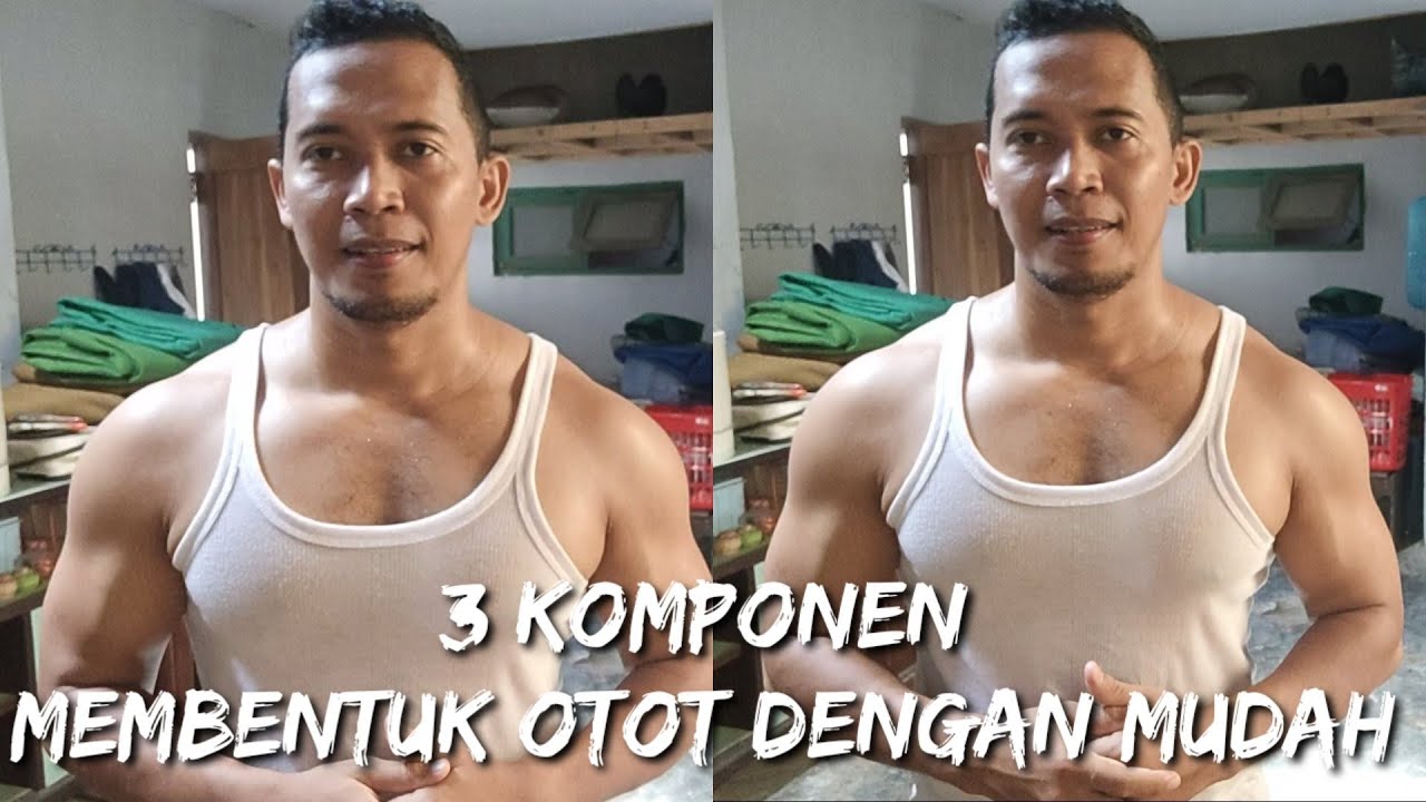 3 KOMPONEN MEMBENTUK OTOT DENGAN MUDAH @muscleerfans7458 - YouTube