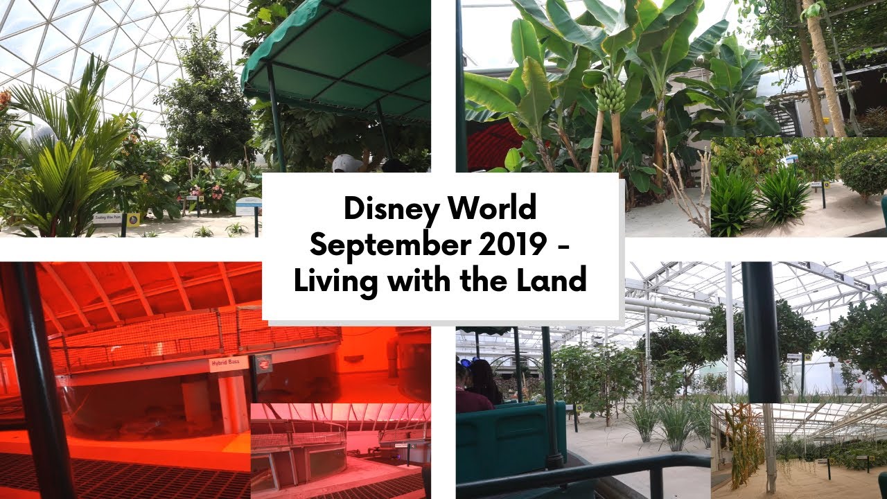 Disney World - Living with the Land - September 2019 - YouTube