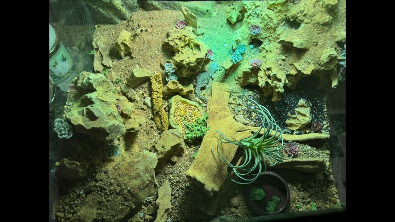 Sand Tunnel Construction Part 1 - YouTube