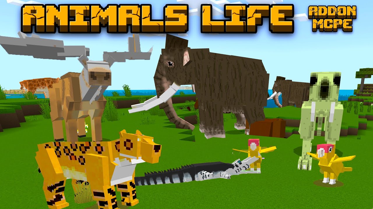 Explore Minecraft's Animal Kingdom with the Critters Life Mod! 🐿️🦋 ...